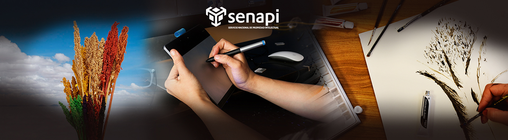 Guía para registrar tu propiedad industrial ante el SENAPI - Bolivia Emprende - Bolivia Emprende